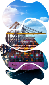 CIU Insurance - National Insurance with Global Network